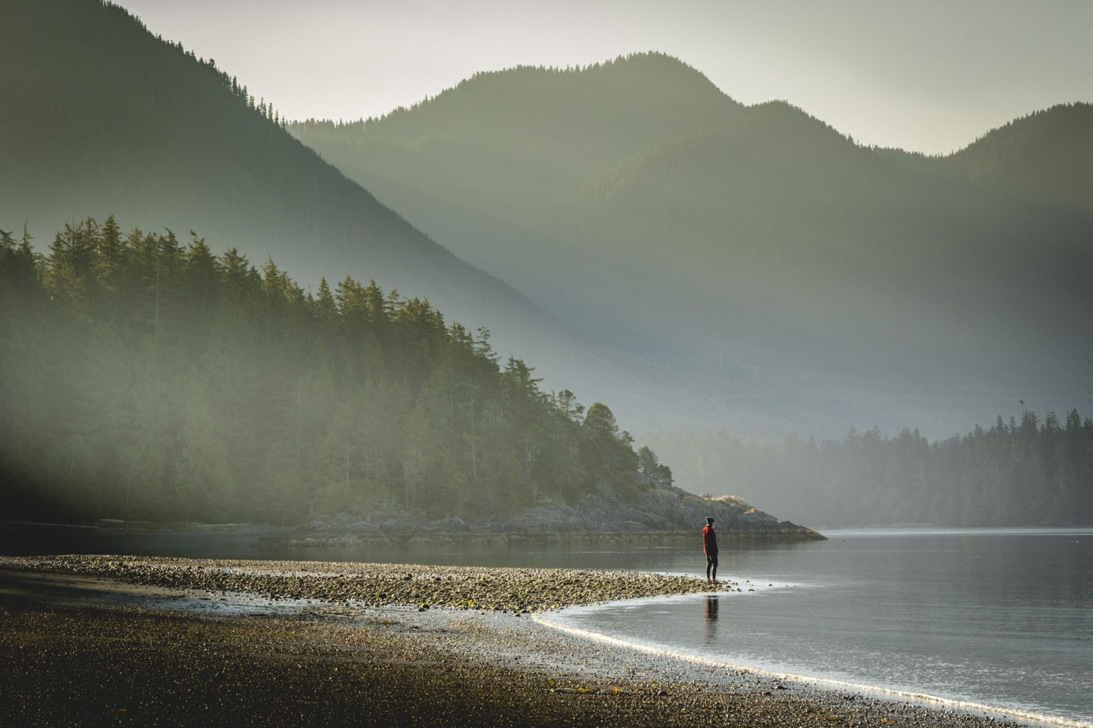 Nature-Based Climate Solutions - McCall MacBain Foundation